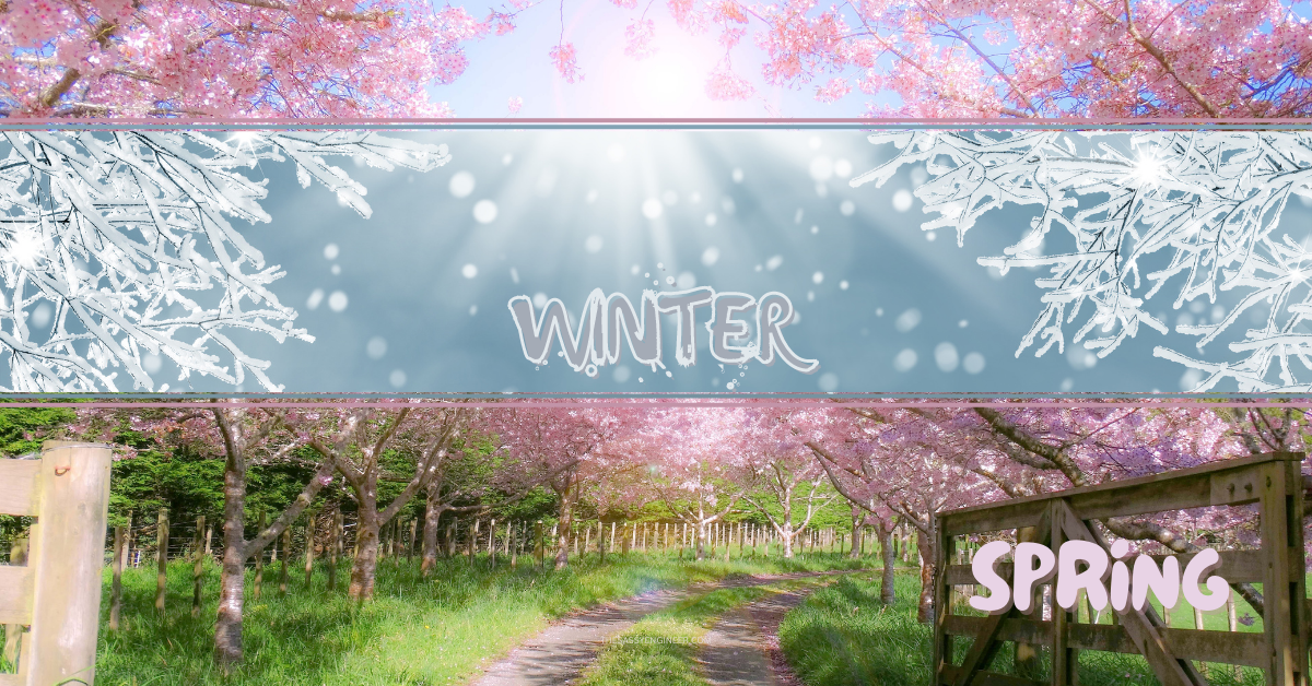 Winter in the middle of spring - Sassy Engineer